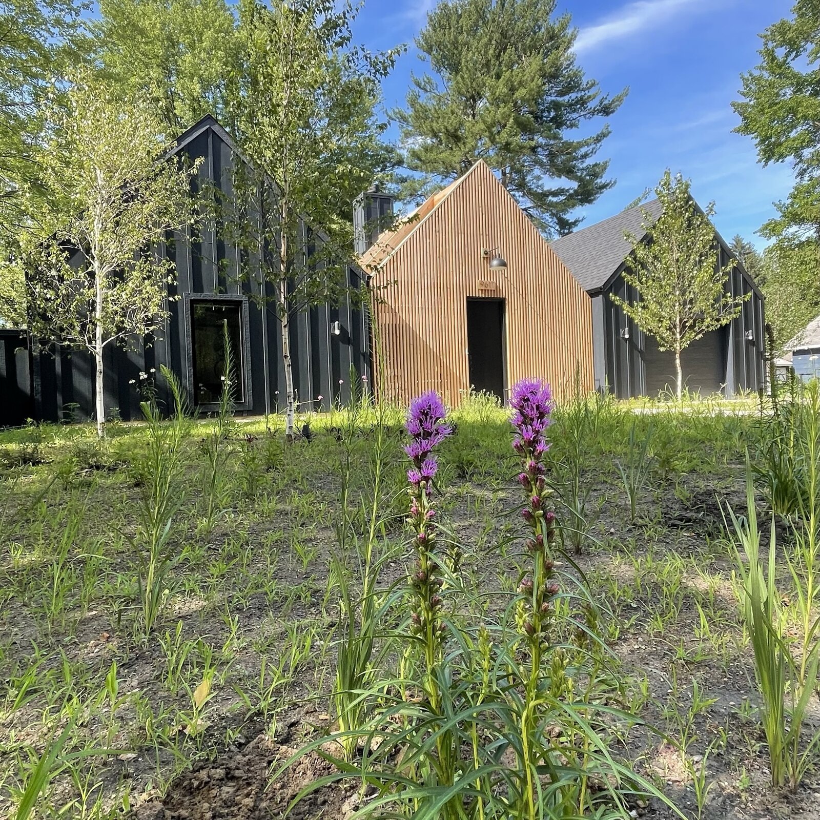 Photo 1 of 19 in Triple Gables by Dave Widmer - Dwell