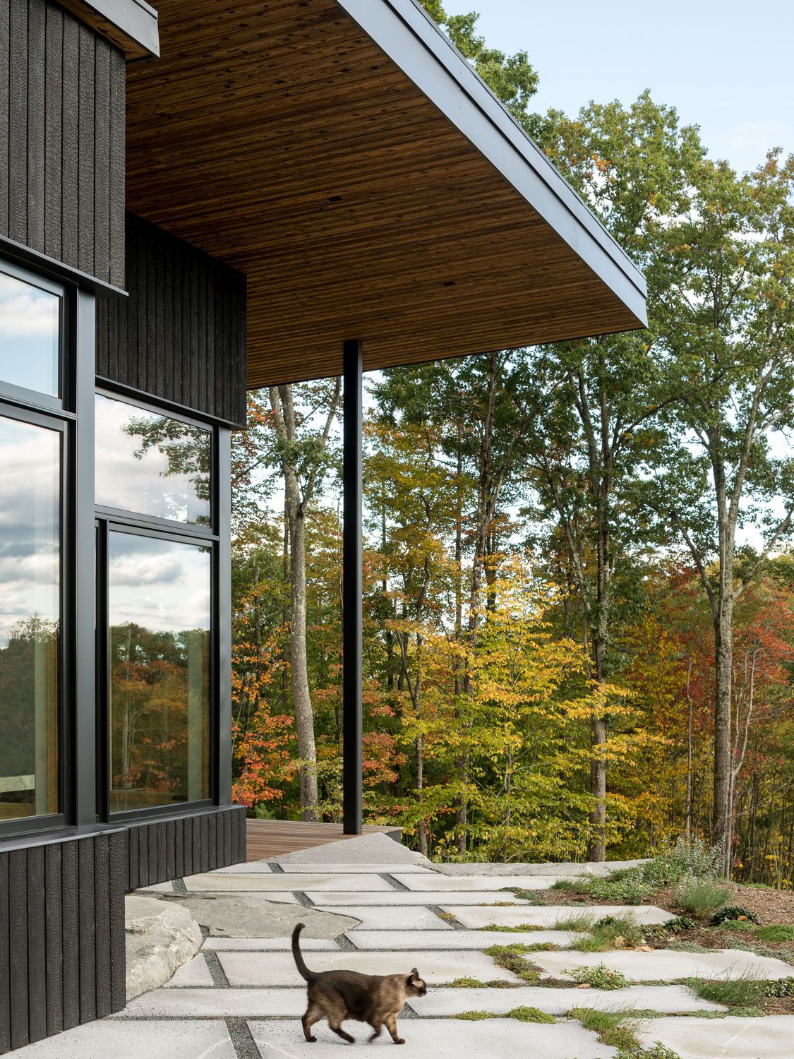 Photo 18 of 18 in The Hill House by kcs ARCHITECTS - Dwell