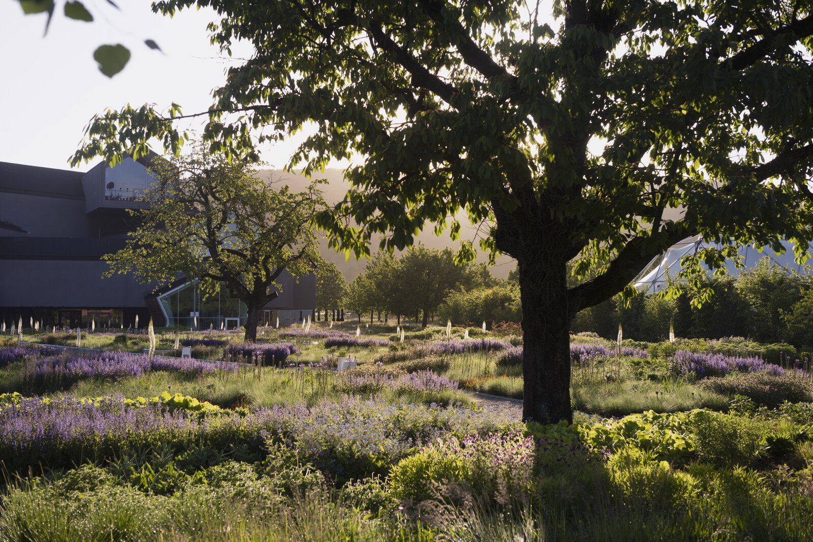Photo 7 of 14 in Q&A: Legendary Garden Designer Piet Oudolf on His ...