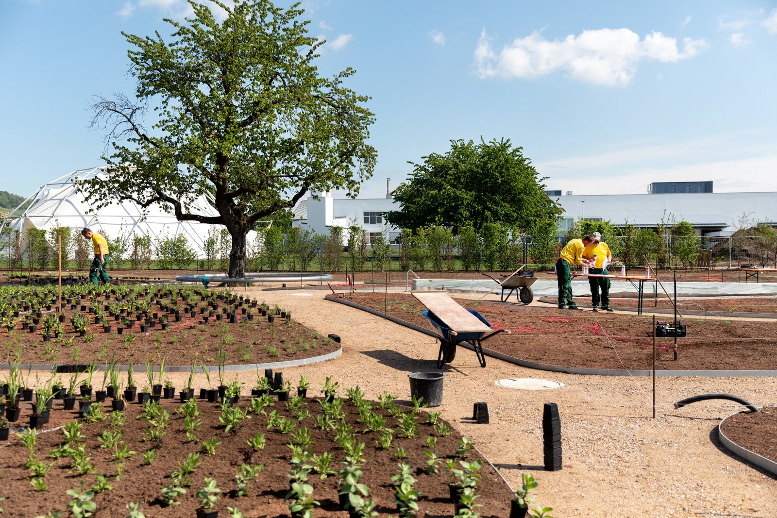 Photo 12 of 14 in Q&A: Legendary Garden Designer Piet Oudolf on His ...