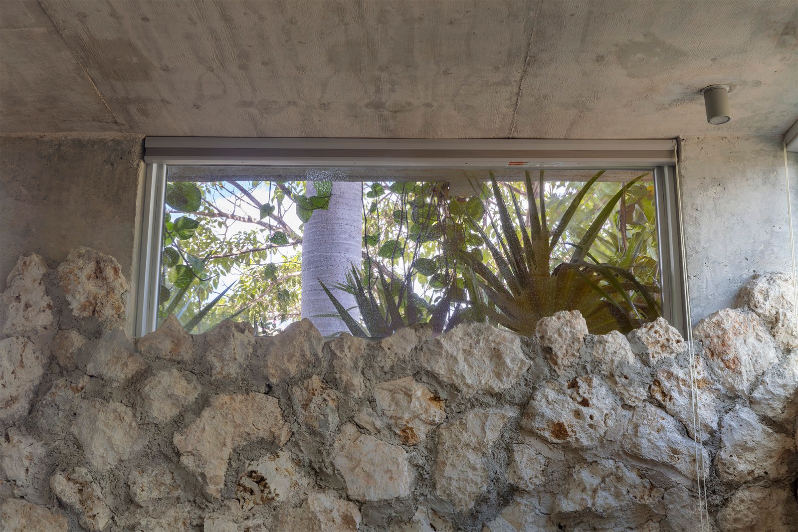 Photo 5 of 17 in This “Sea Snail” Home Is Built From Thousands of Tiny ...