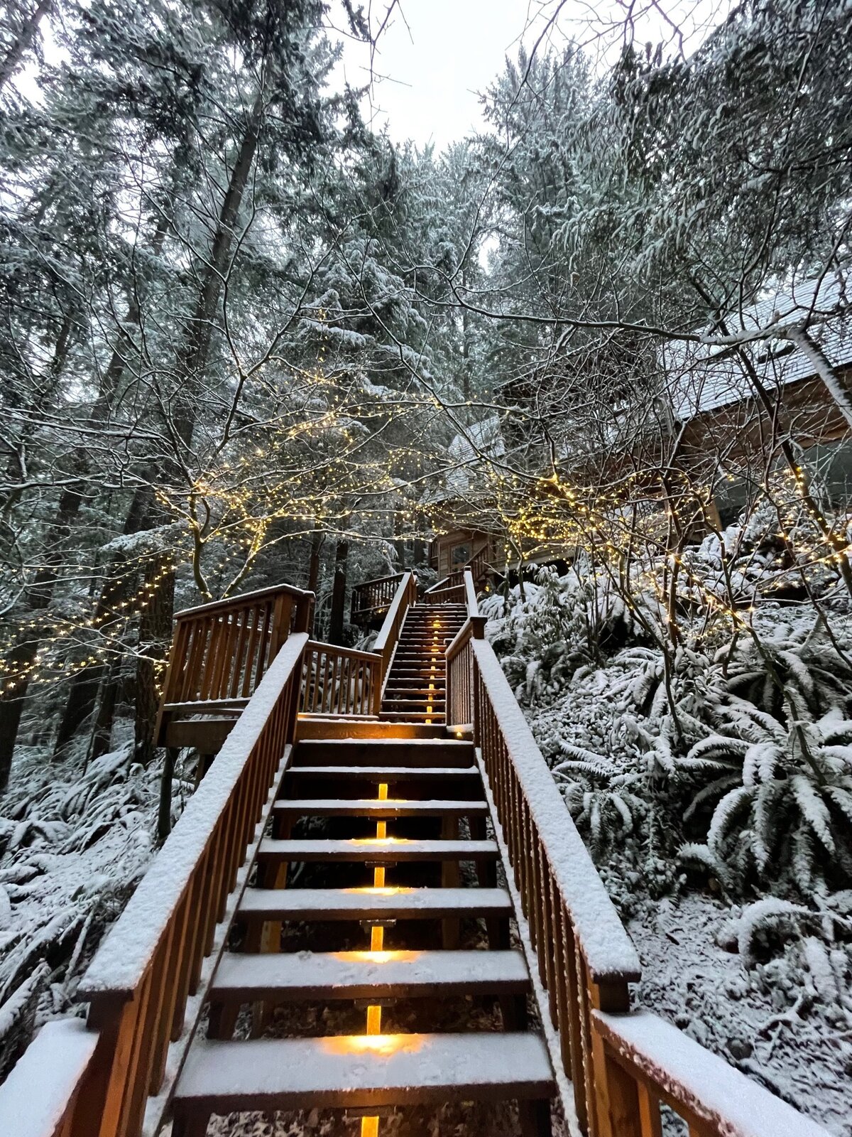 Photo 6 of 11 in The Treehouse by Candace Meyer - Dwell