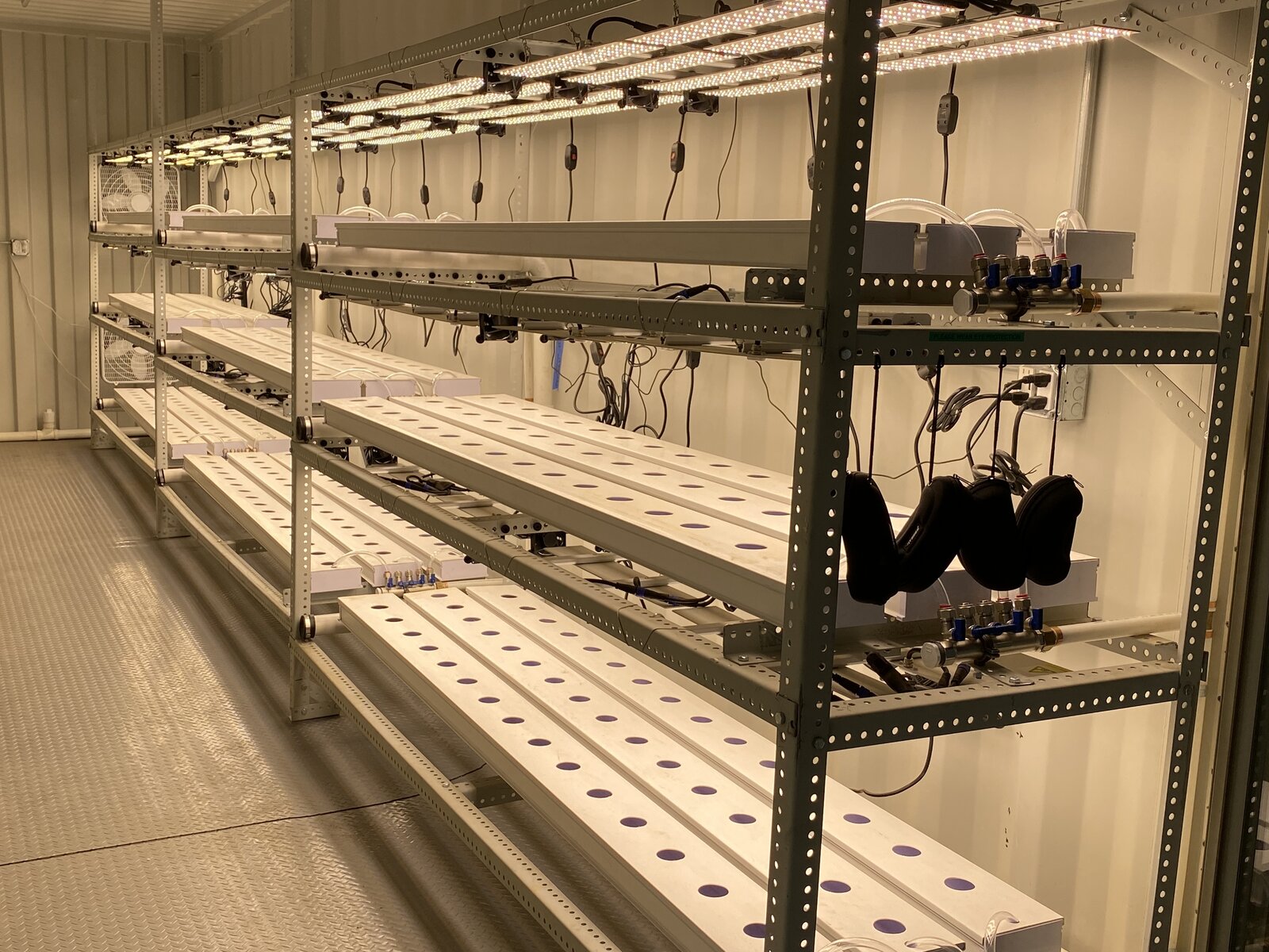 Photo 1 of 81 in The Bark… A Vision for the Future by NFM - Dwell