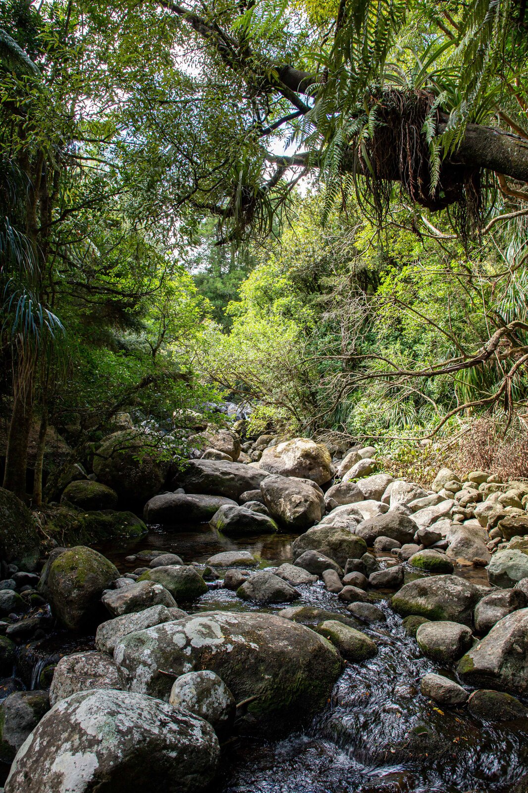 Photo 1 of 6 in Matamata Cabin by Made by Hideaway - Dwell