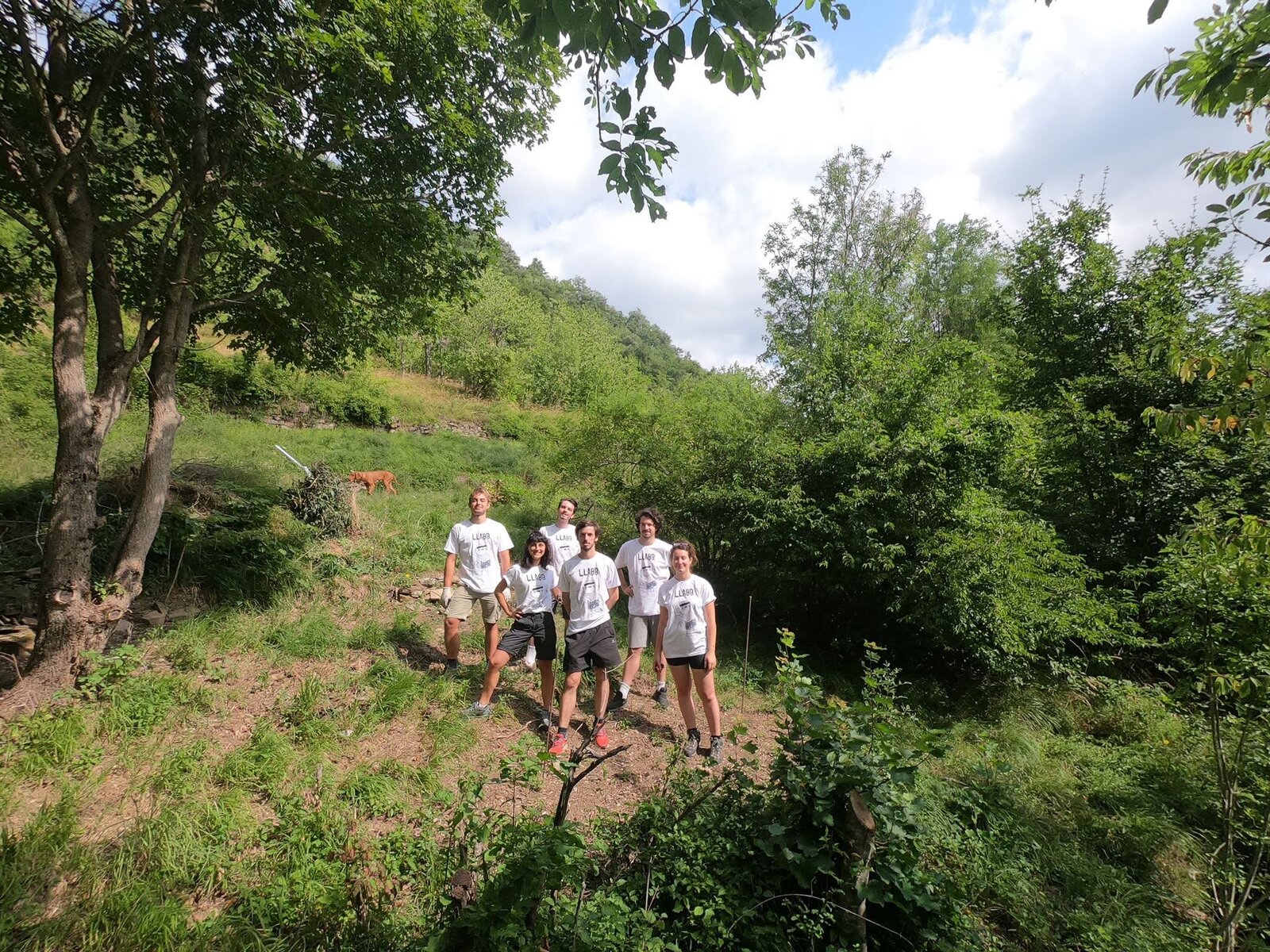 Photo 1 of 13 in A Tiny Off-Grid Cabin in Remote Italy Is as Easy to ...