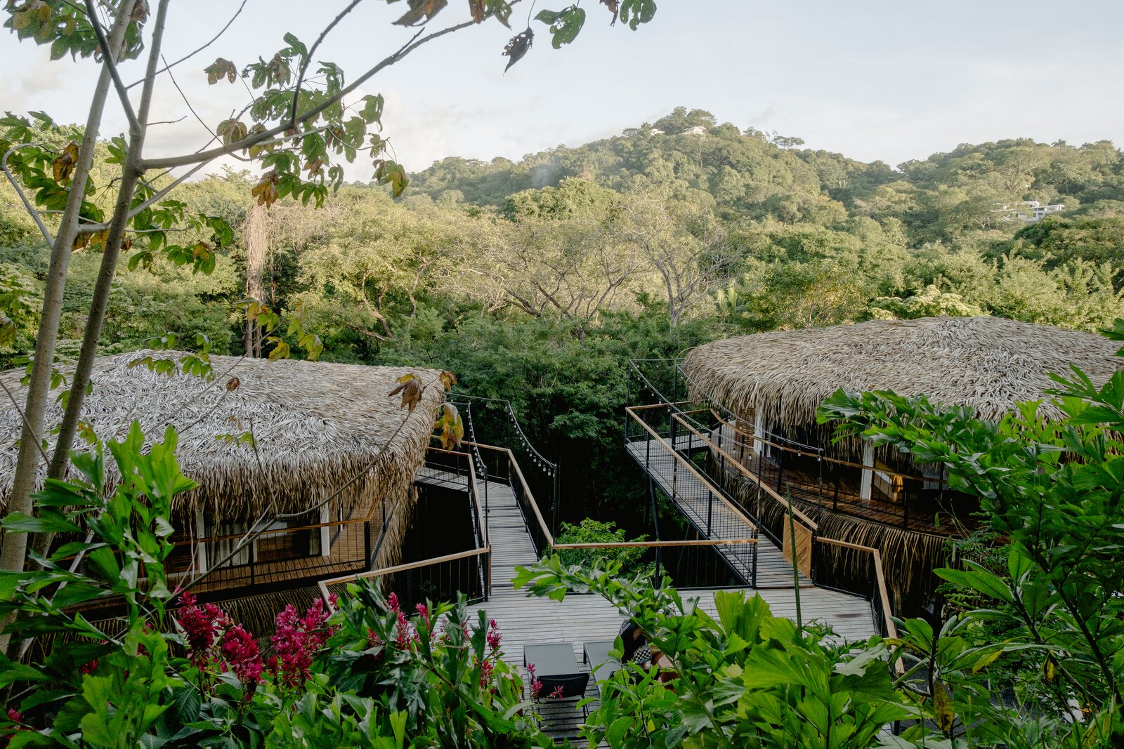 Photo 1 of 11 in Nosara Treehouses by Oz Wilks - Dwell