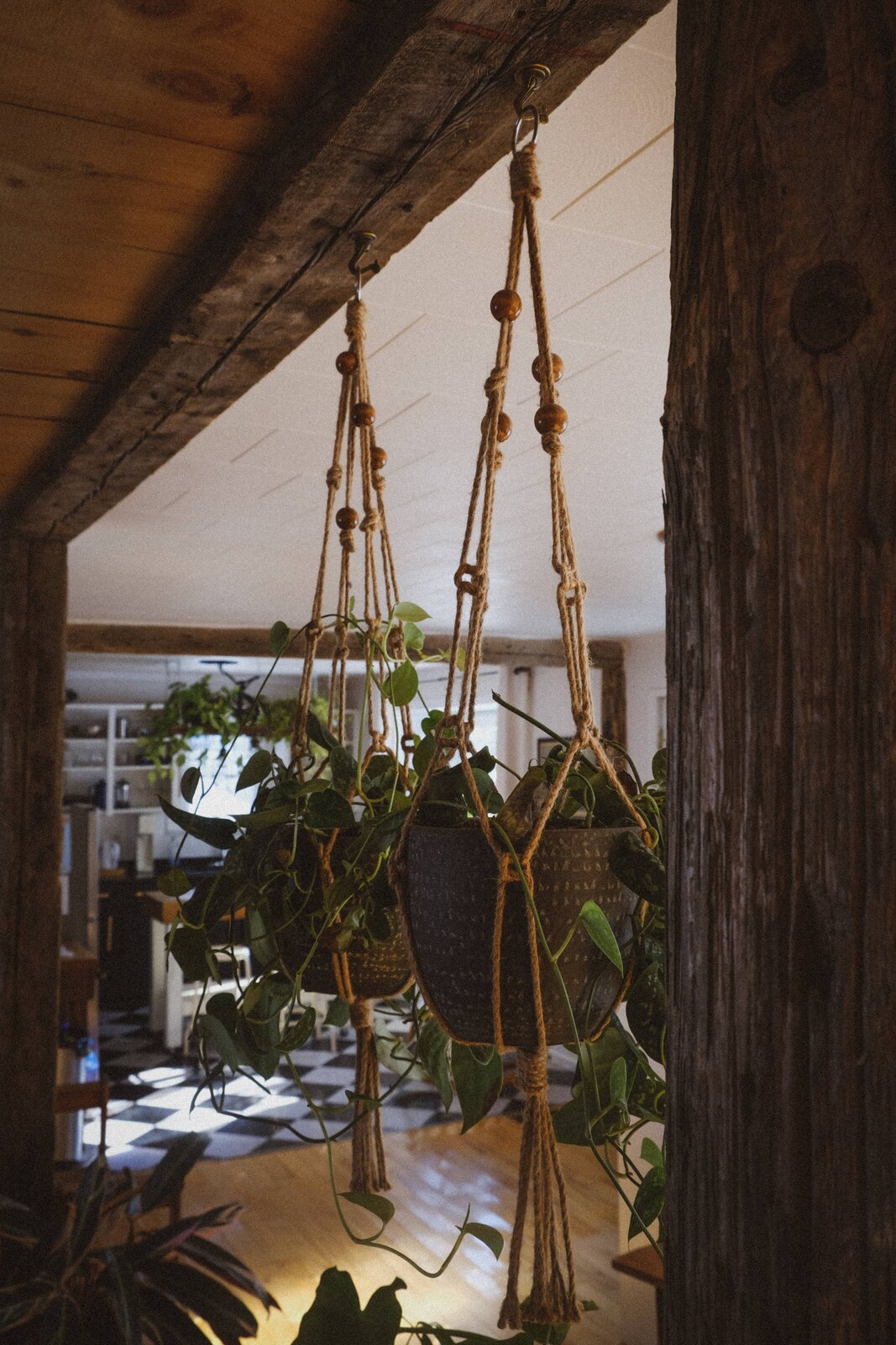 Photo 2 of 18 in Robin House by Ian Macmillan - Dwell