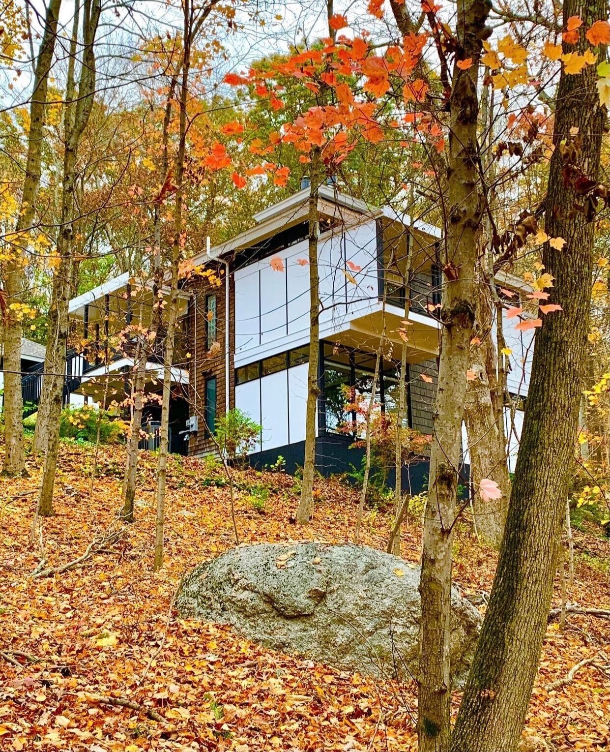 Photo 8 of 36 in Mid Century Modern Shogun House in the Connecticut ...