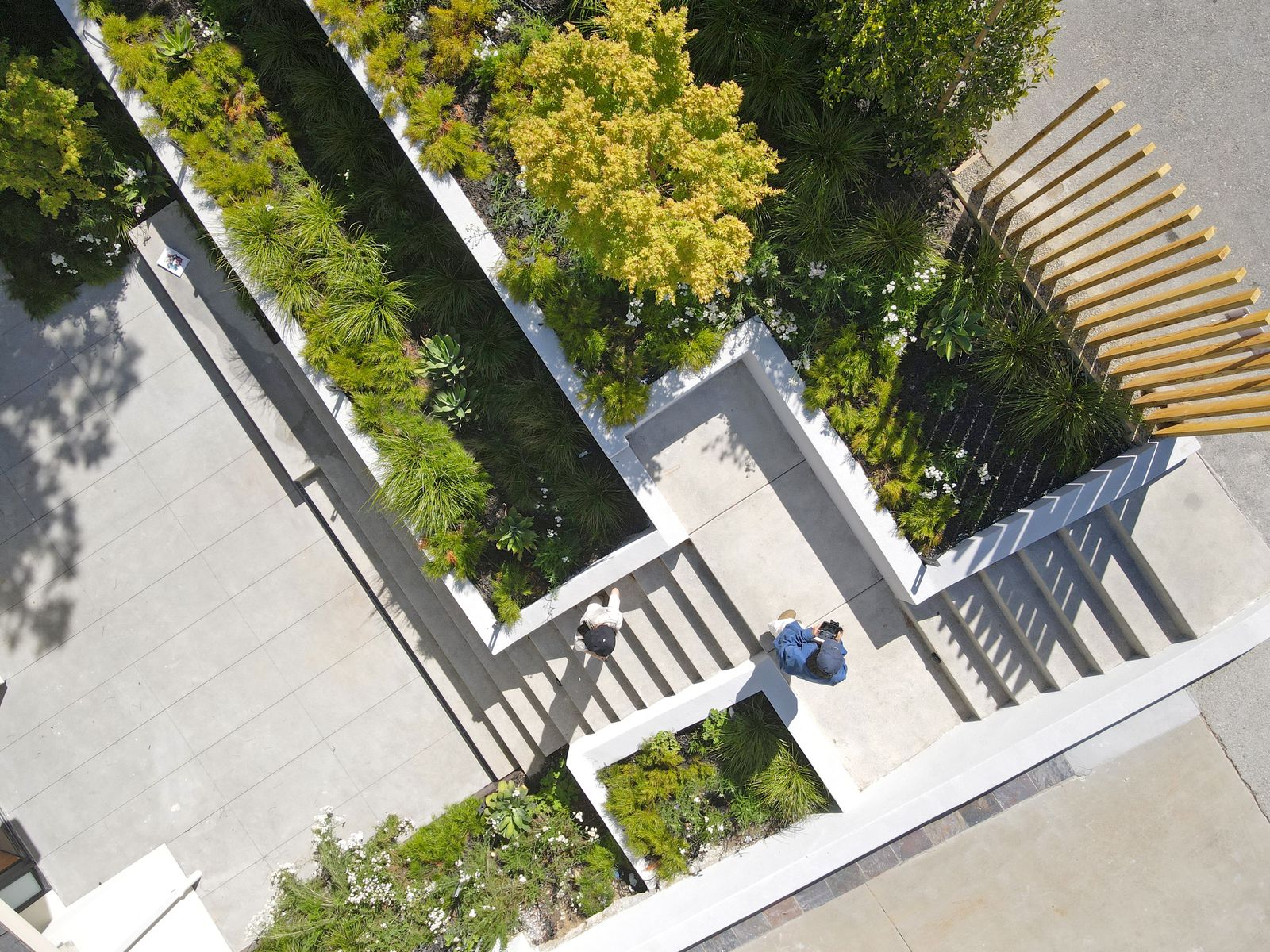 Photo 1 of 9 in Terraces In Green by BLUR - Dwell