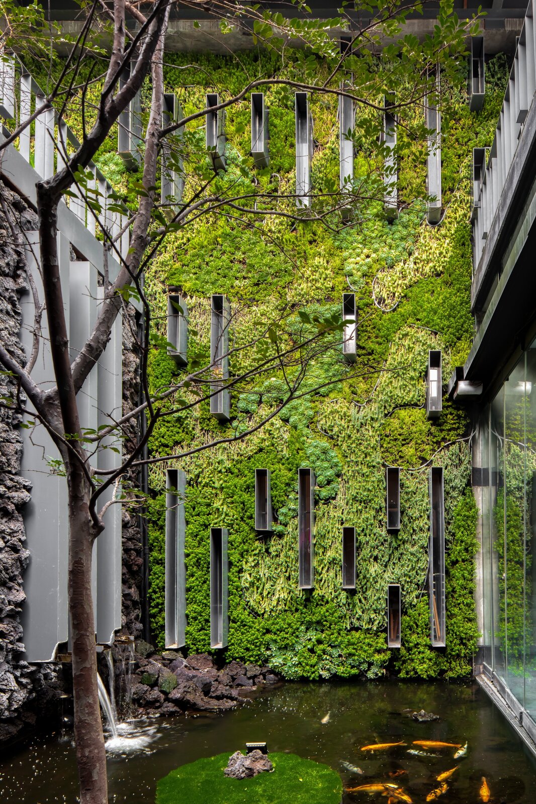 Photo 7 of 9 in Casa Espejo Verde by Huatan Landscaping - Dwell