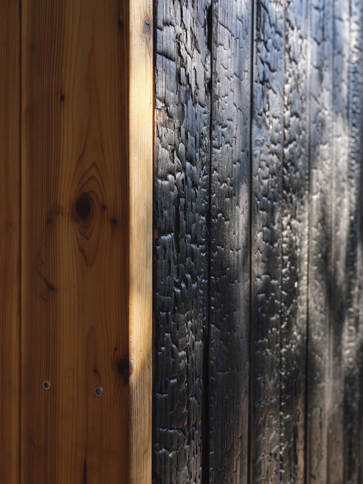 Photo 15 of 24 in Rainbow Ranch by ben newman - Dwell