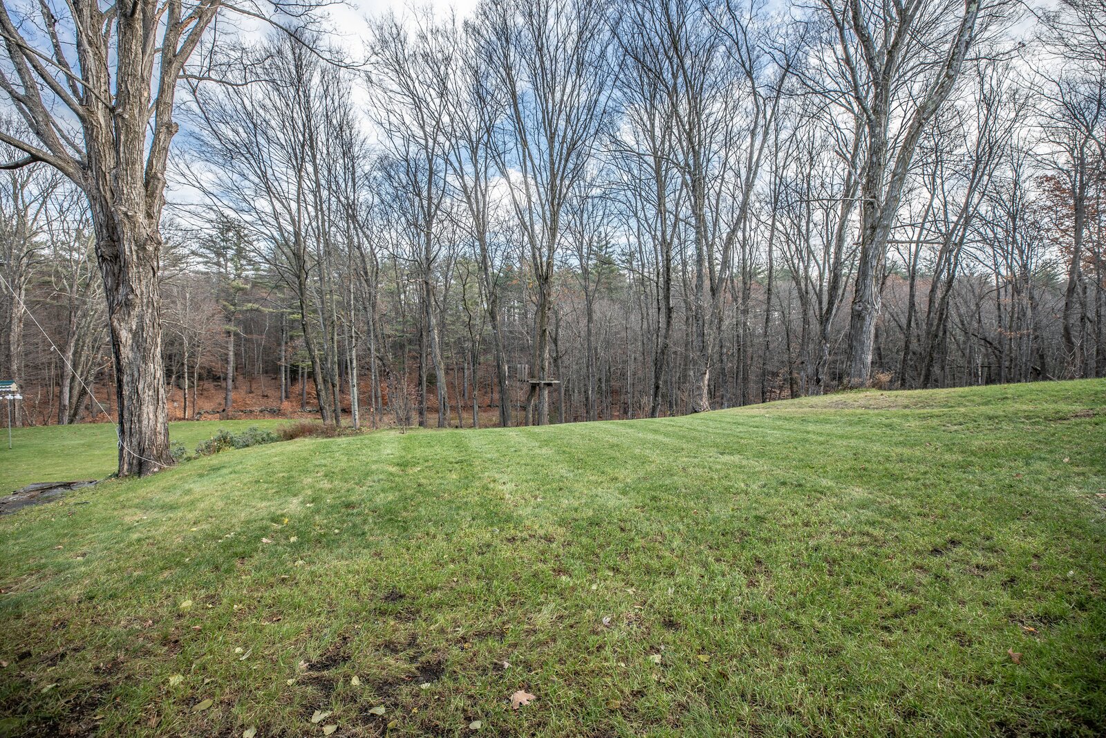 Photo 17 of 17 in The Betsy Searle Place by Sadie Halliday - Dwell