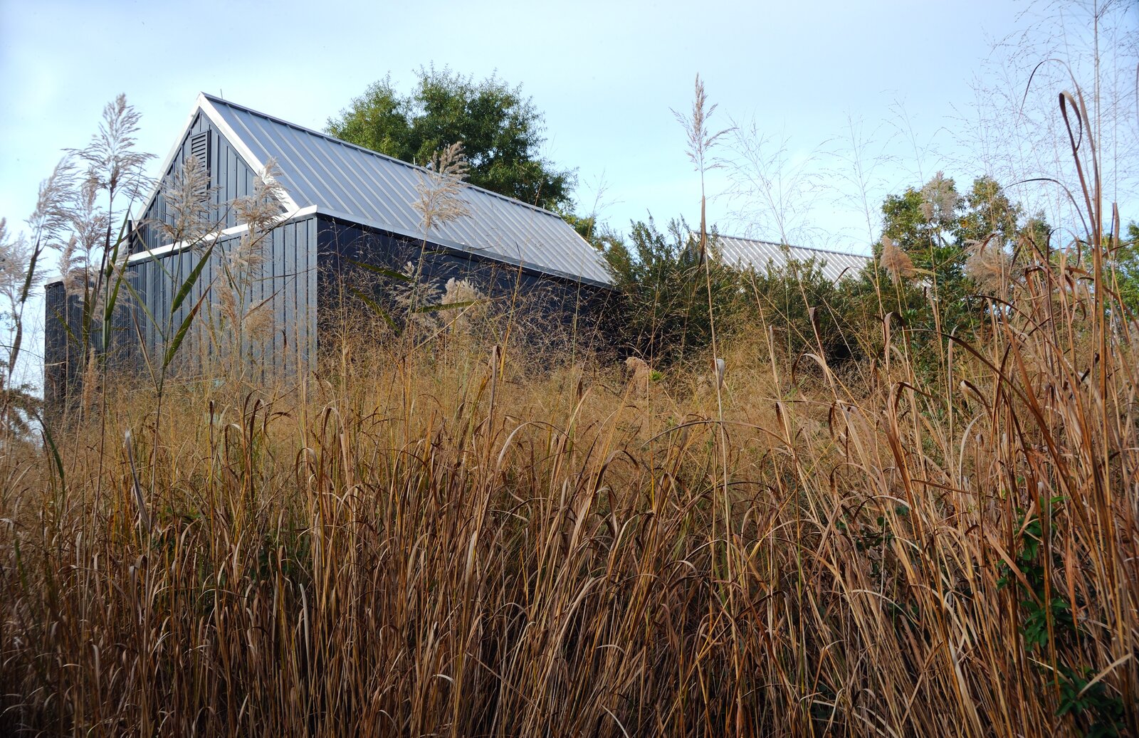Photo 2 of 7 in Water's Edge by Suman Sorg - Dwell