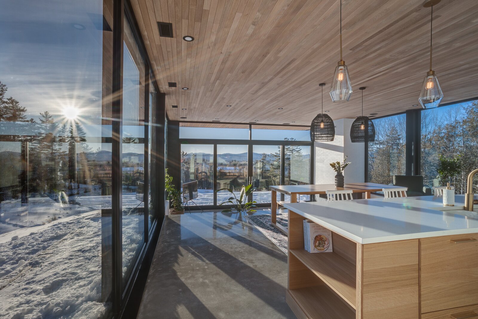 Photo 1 of 44 in The Scandinavian on a Pond by Construction Memphré - Dwell