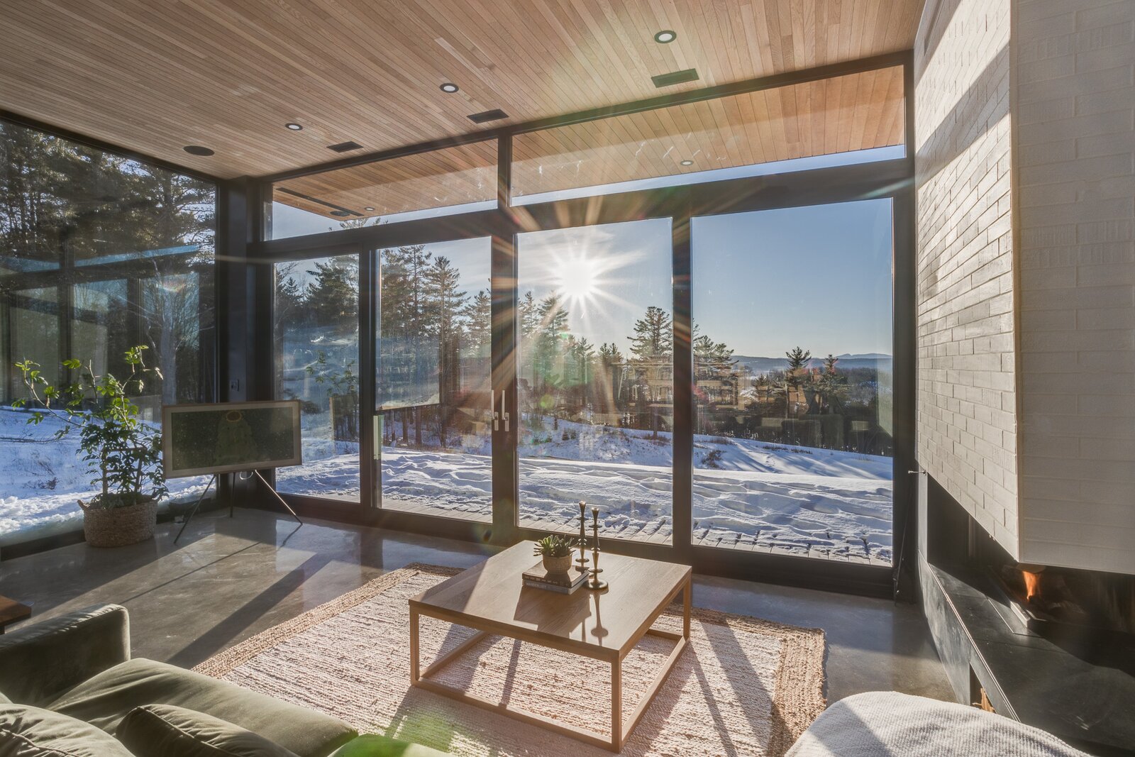 Photo 1 of 44 in The Scandinavian on a Pond by Construction Memphré - Dwell