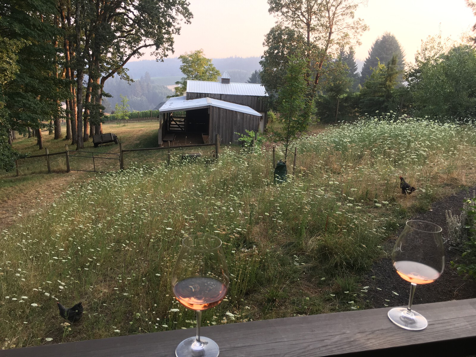 Photo 17 of 20 in Modern Farmhouse by M.O.Daby Design - Dwell