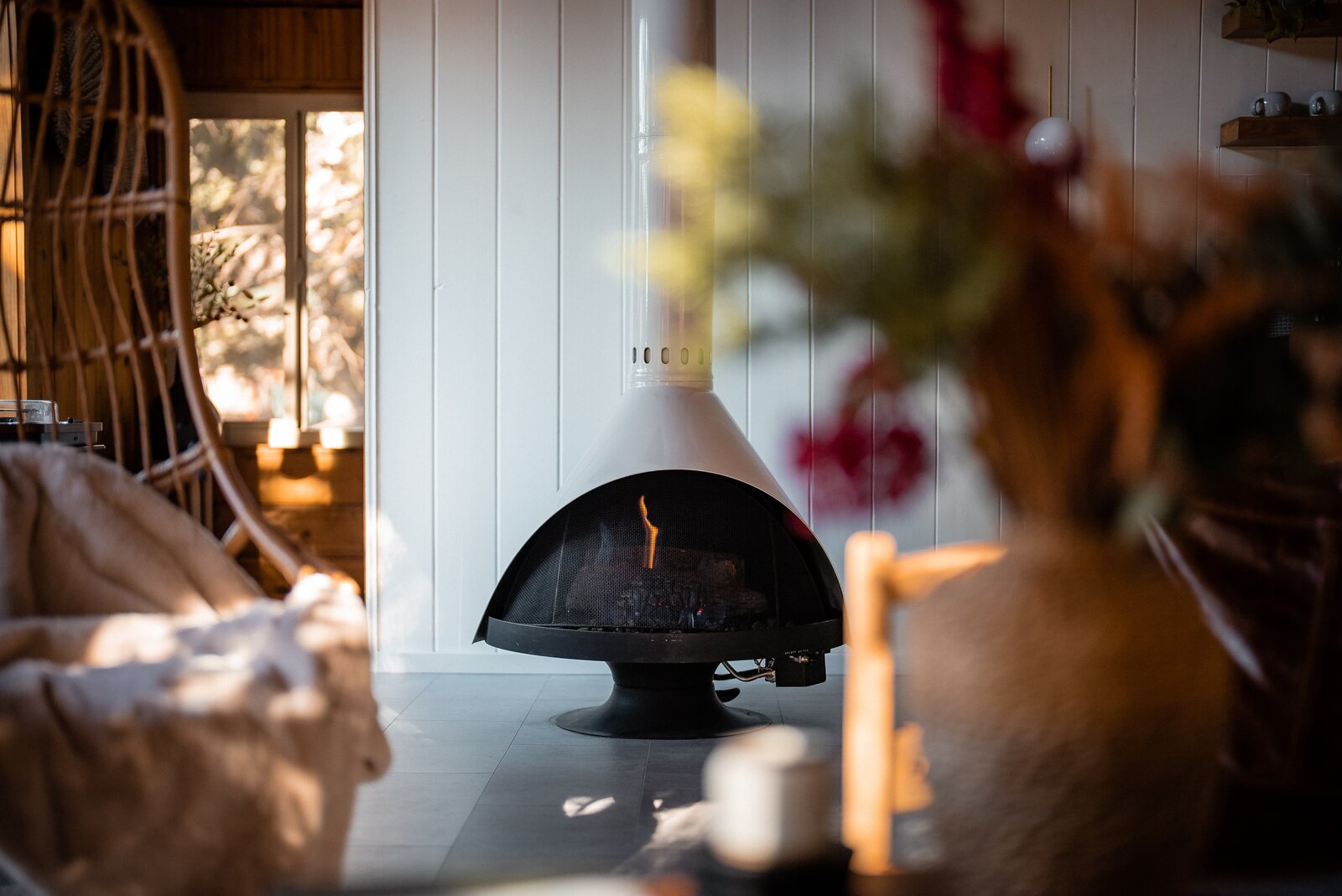 Photo 8 of 16 in The Lightfoot Cabin by Chase Charifa - Dwell
