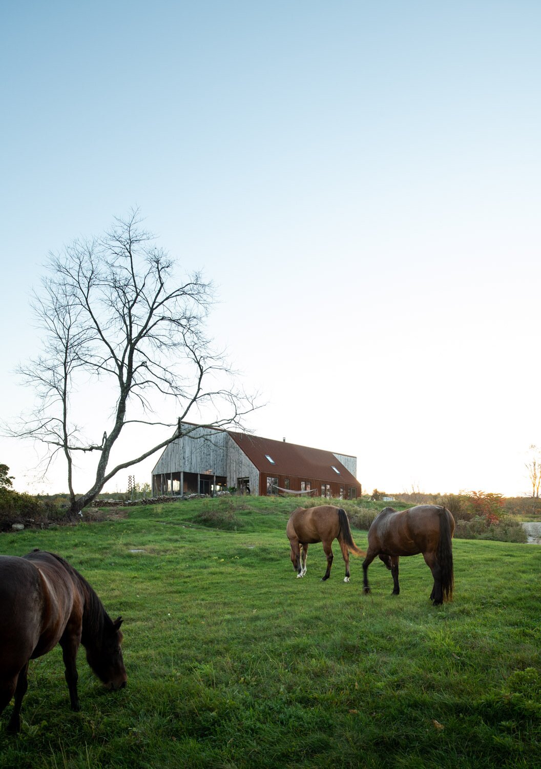 Photo 20 of 25 in The Newman-Stanton House by Michael Morrow - Dwell