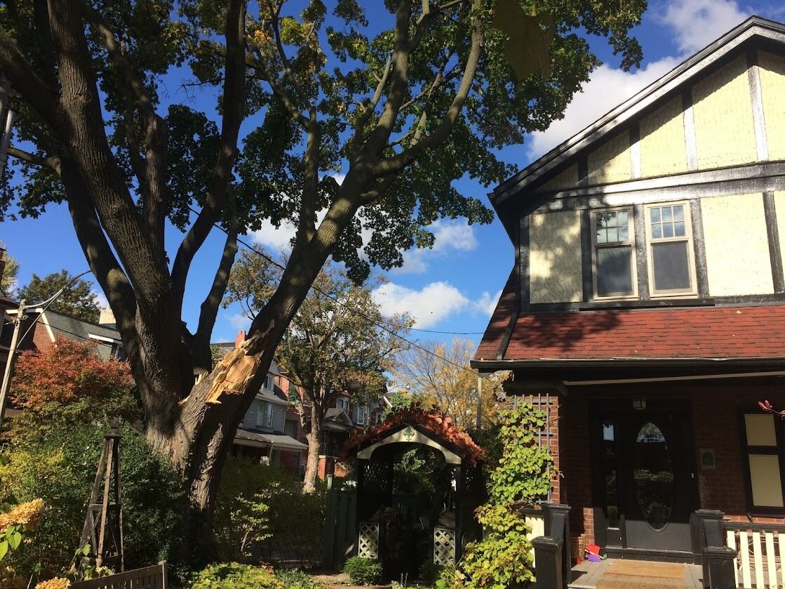 Photo 2 of 22 in Before & After: Two Architects Bring Balance to a ...