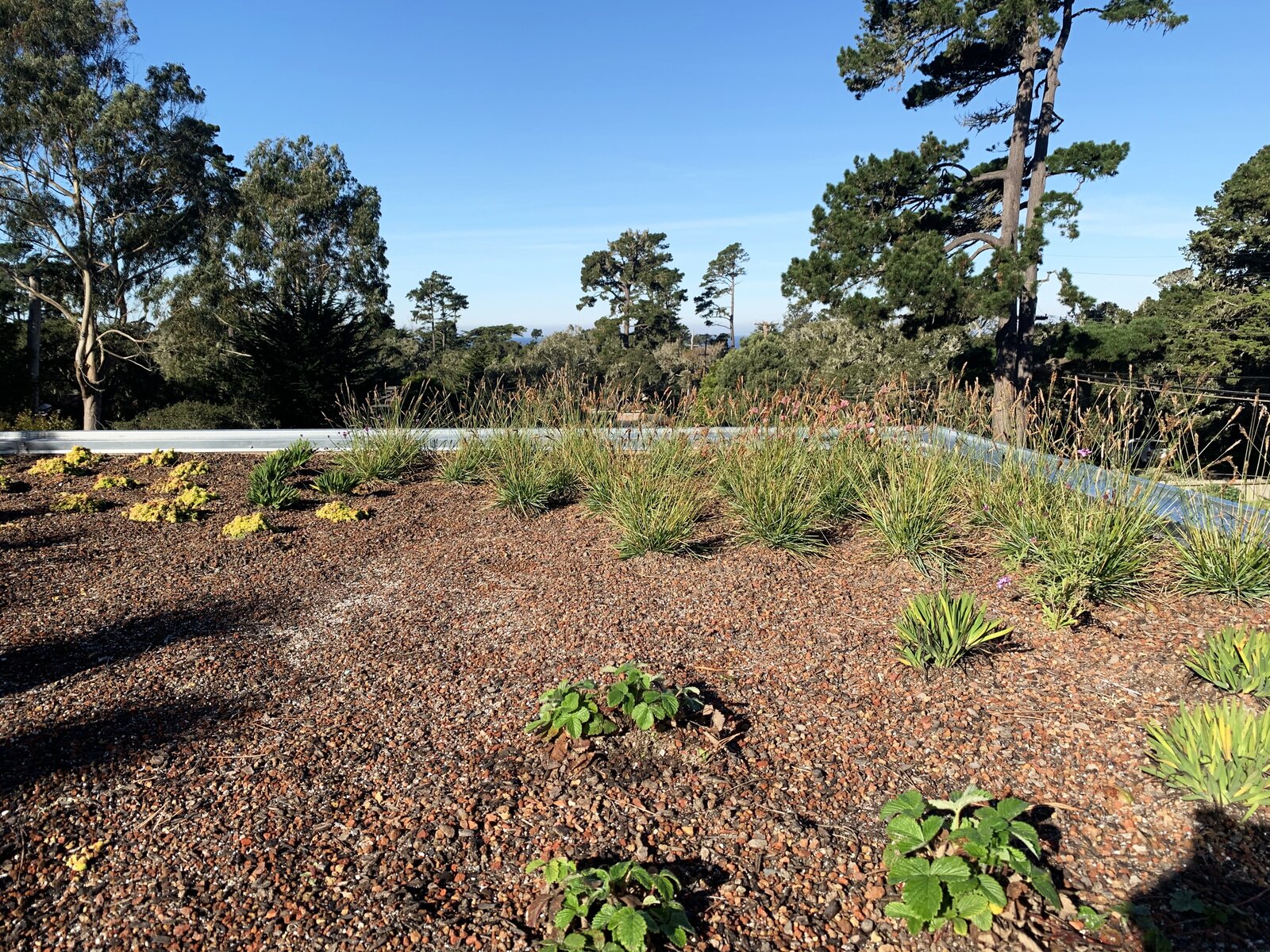 Photo 11 of 11 in Pacific Grove Modern by Jeff Barrett Studio - Dwell