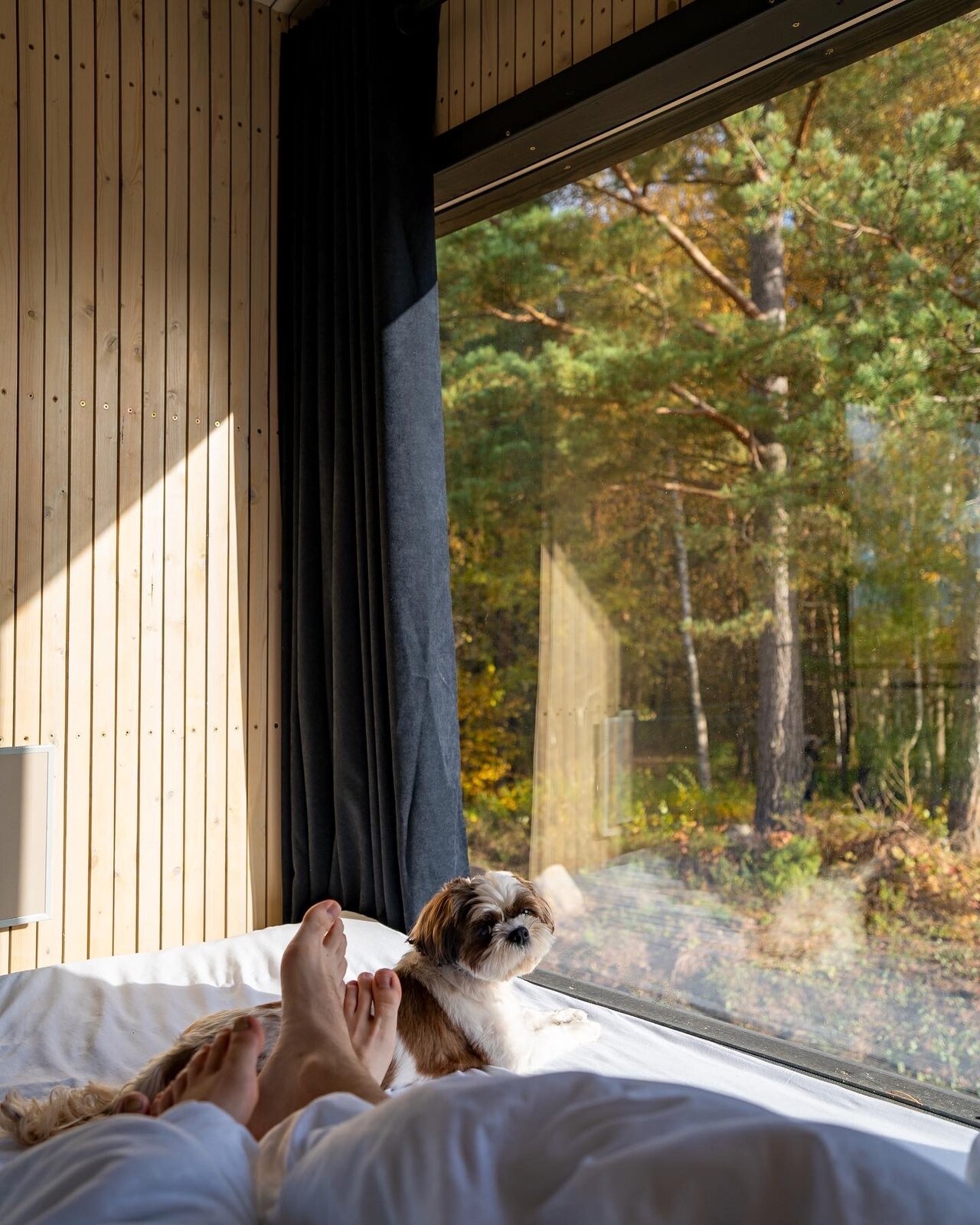 Photo 8 of 10 in NOMAD HOUSES by ZROBIM architects - Dwell