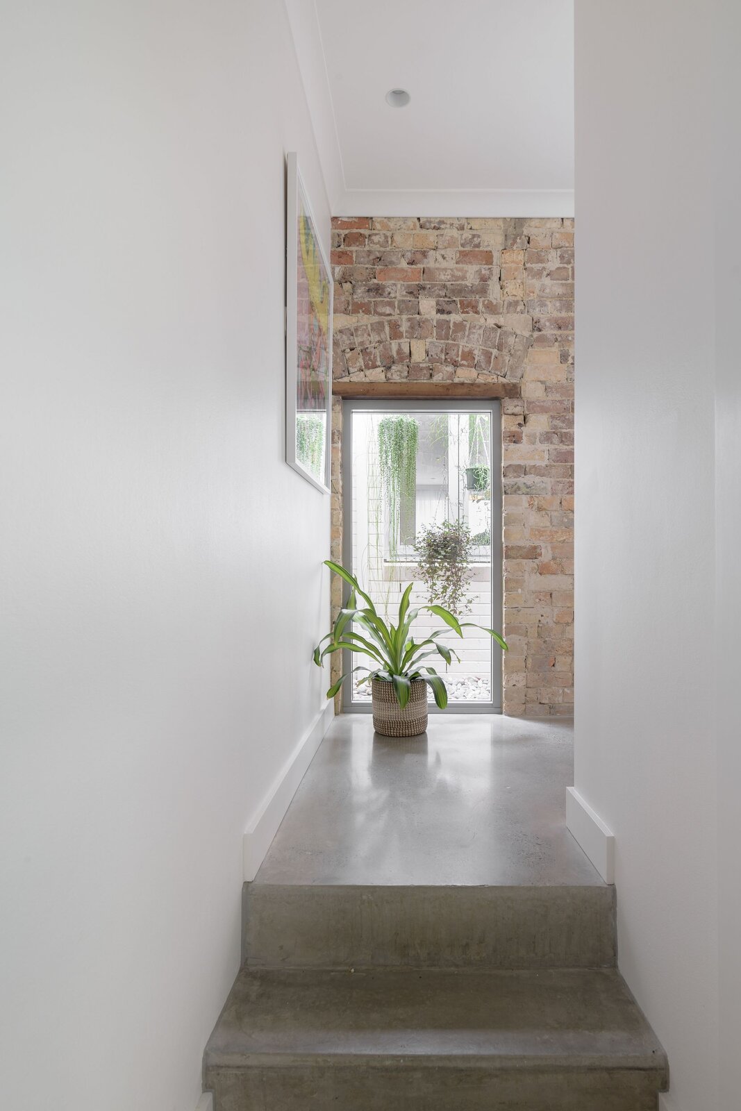 Photo 10 of 17 in Budget Breakdown: They Turned a Narrow Sydney Terrace ...