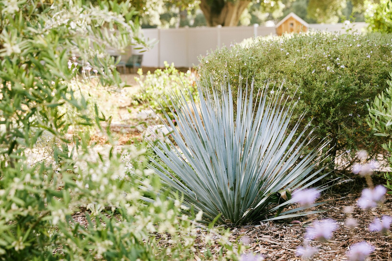 Photo 10 of 10 in Modern Farmhouse with Rewilded Backyard by Yardzen ...