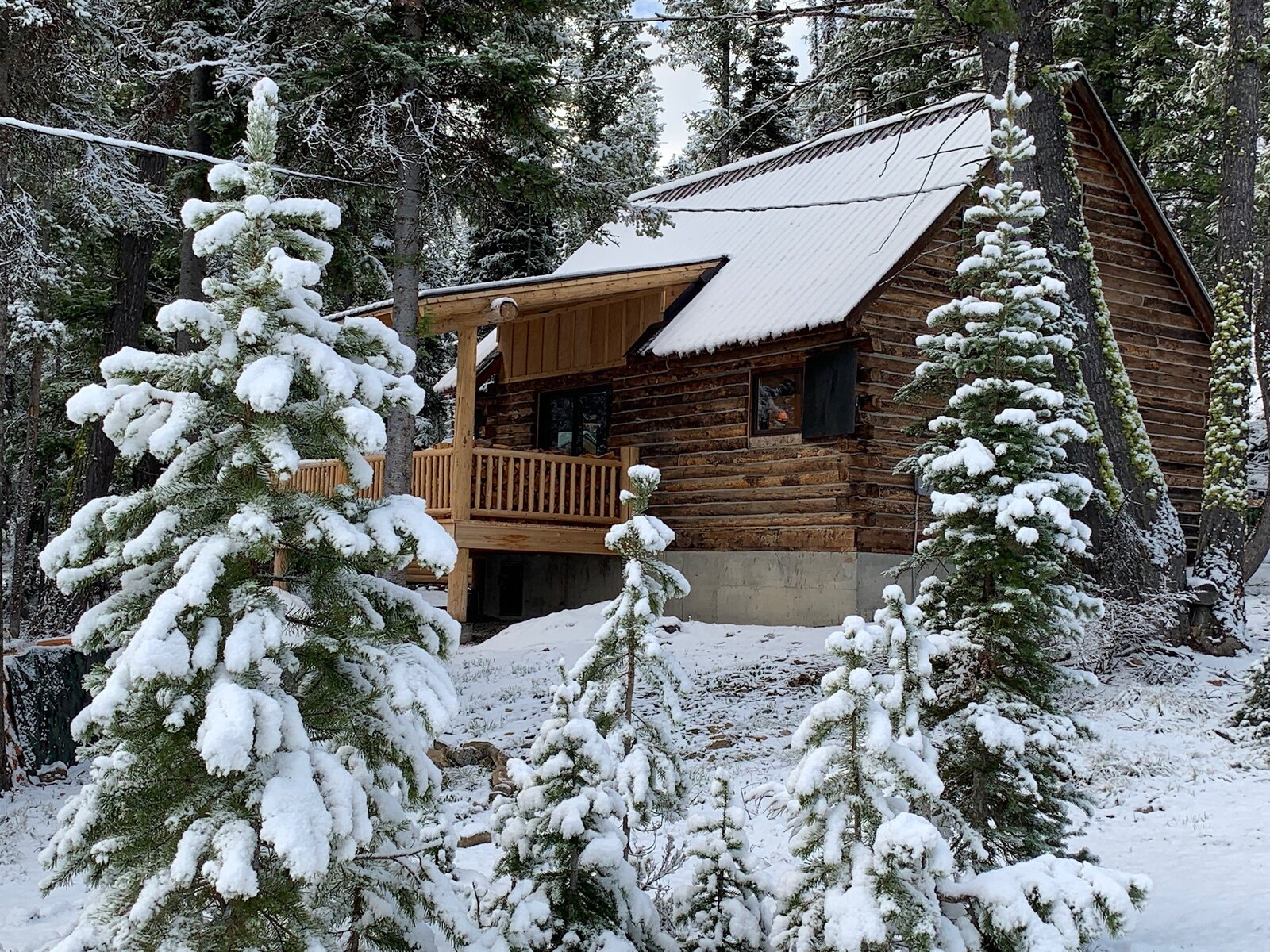 Photo 5 of 18 in Forest Service Cabin No 41 by Sheila A Smith - Dwell