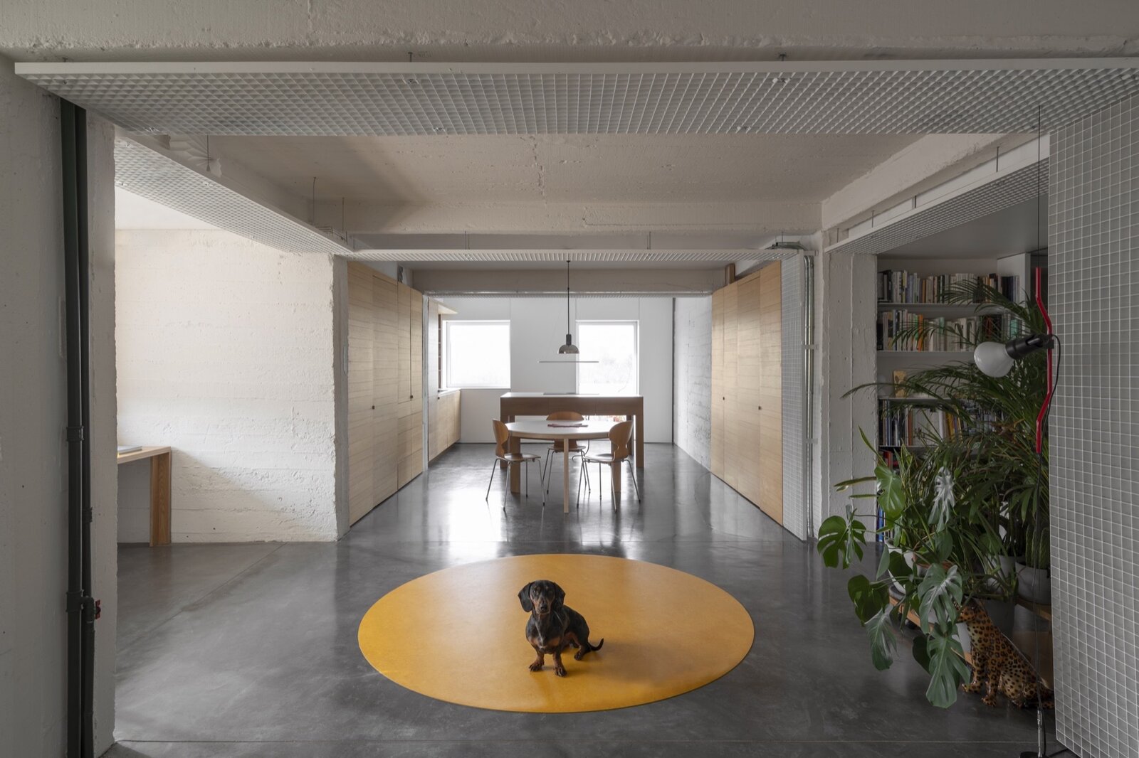 Photo 2 of 26 in NON-BINARY SPACE by PACHON PAREDES - Dwell