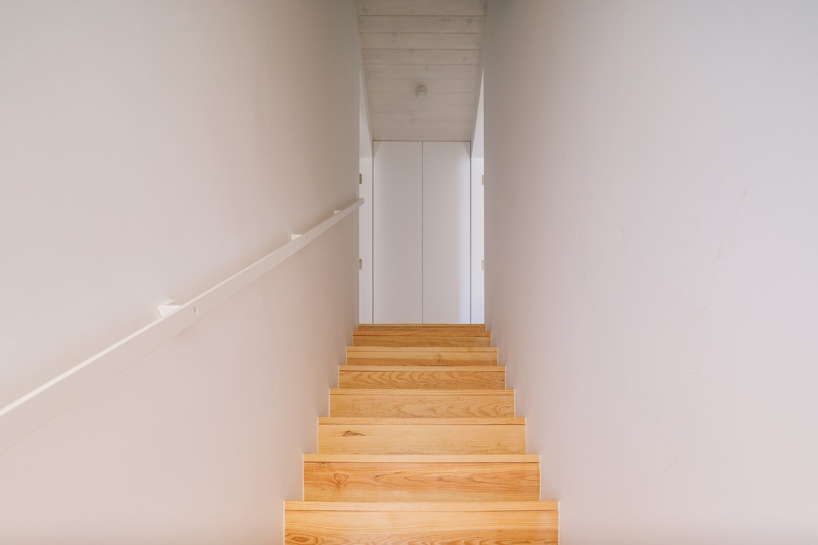 Photo 13 of 21 in 4 dwellings in Graça by lioz arquitetura - Dwell