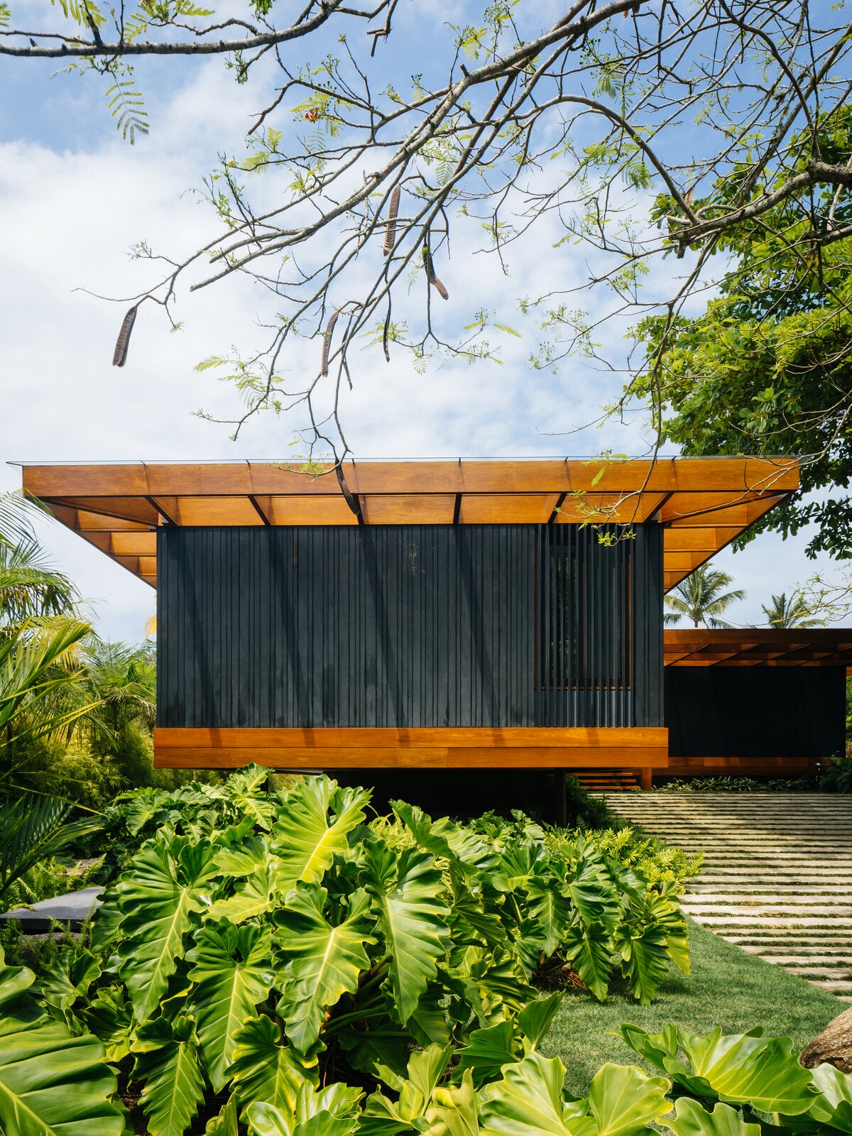 Photo 3 of 9 in RT House by Jacobsen Arquitetura - Dwell