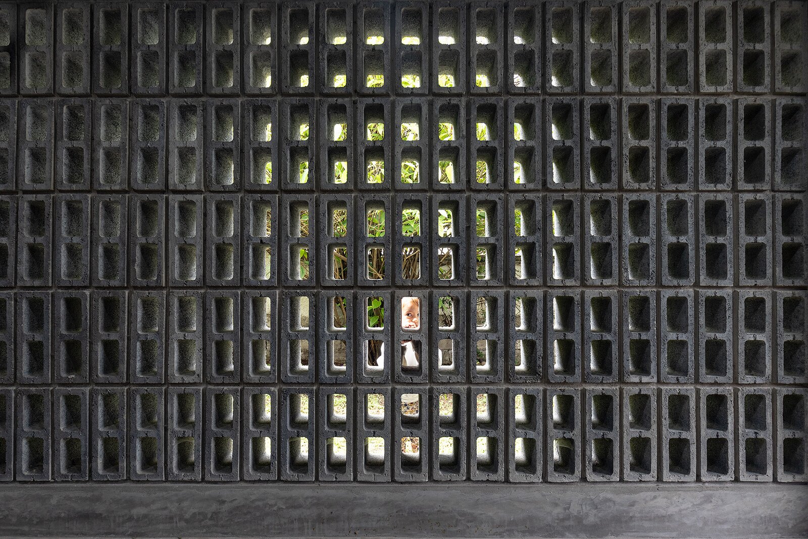 Photo 2 of 15 in The Jambatu Center for Amphibian Research and Museum ...