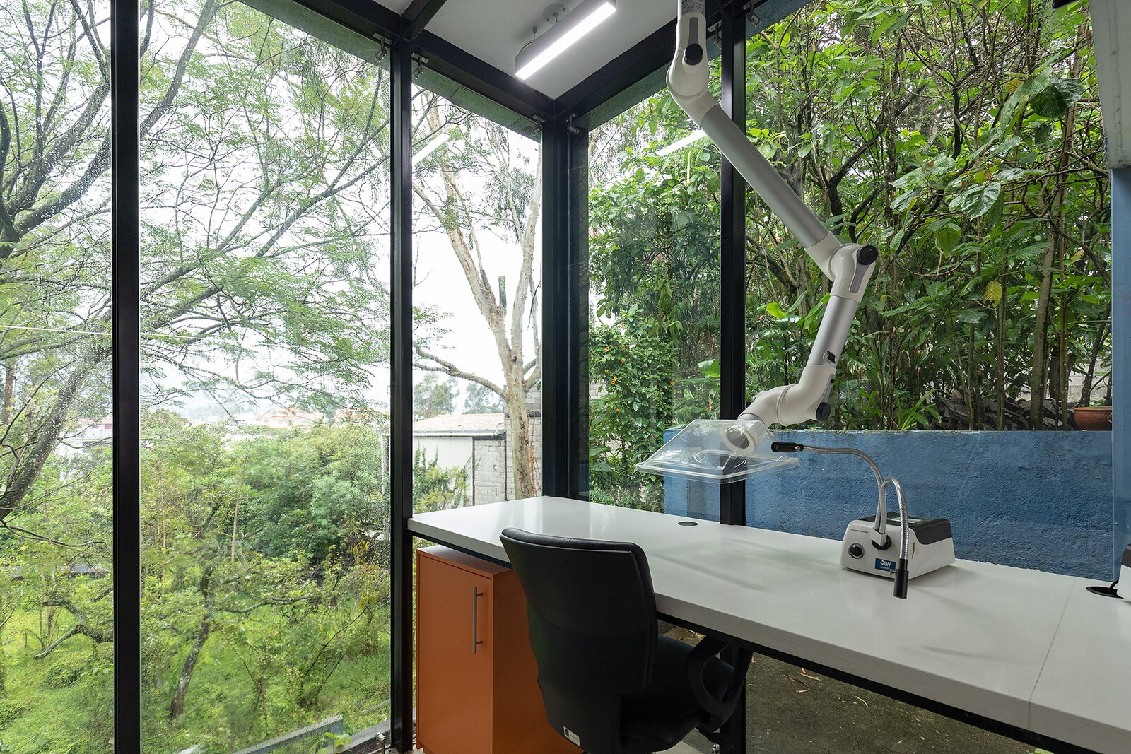 Photo 9 of 15 in The Jambatu Center for Amphibian Research and Museum ...