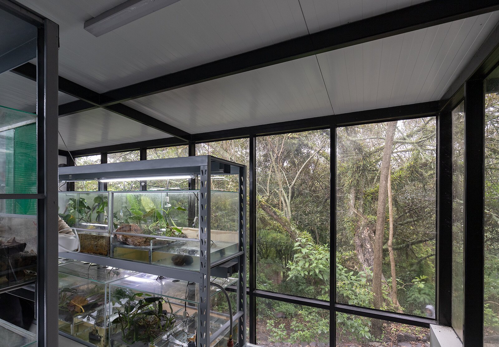 Photo 10 of 15 in The Jambatu Center for Amphibian Research and Museum ...