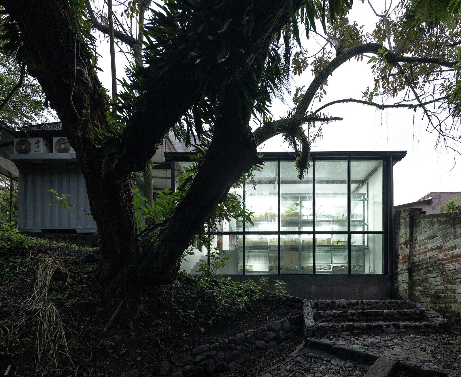 Photo 13 of 15 in The Jambatu Center for Amphibian Research and Museum ...