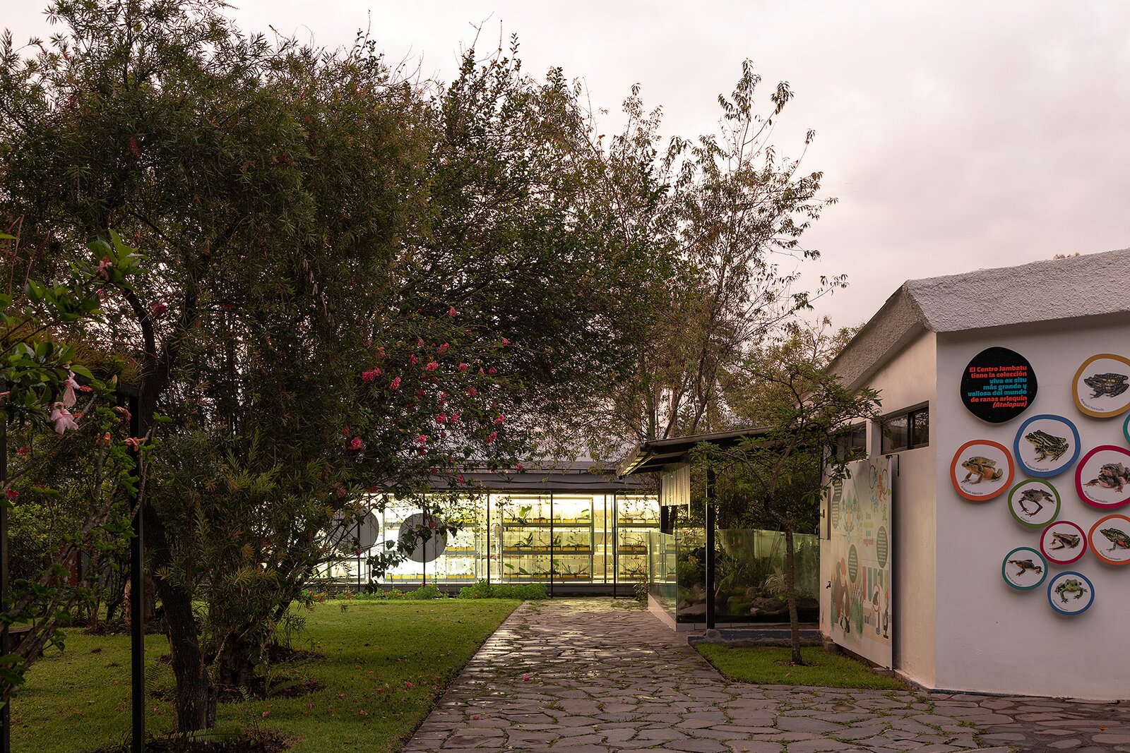 Photo 14 of 15 in The Jambatu Center for Amphibian Research and Museum ...