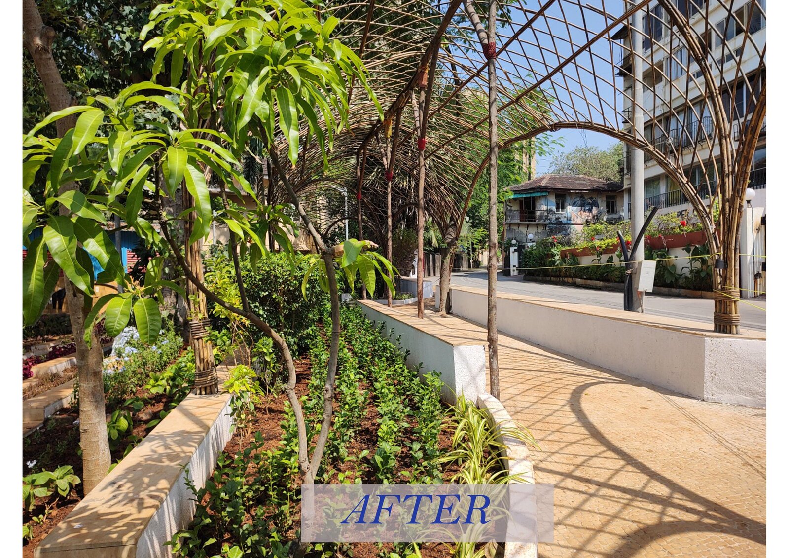 Photo 7 of 9 in REVITALIZING A SMALL OPEN SPACE FOR THE LOCAL COMMUNITY ...