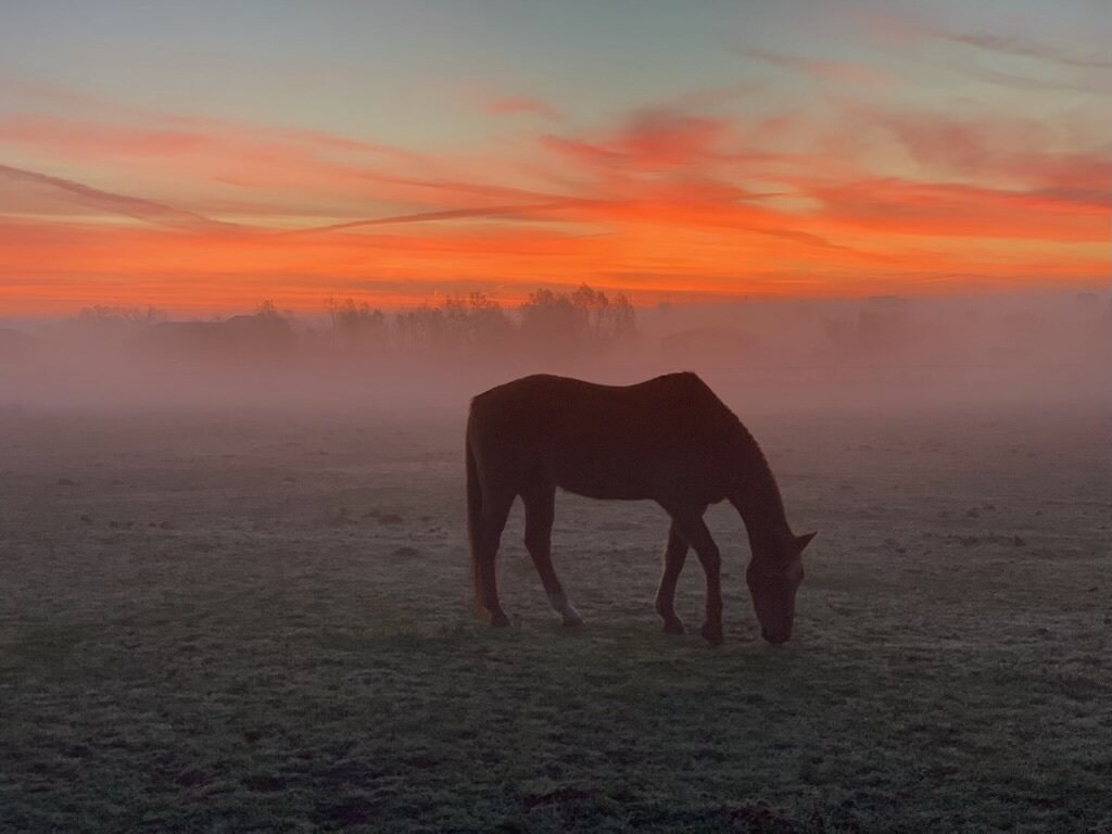 Photo 1 of 27 in Max Levy Big Sky Hayloft Home by Duncan Mcphail - Dwell