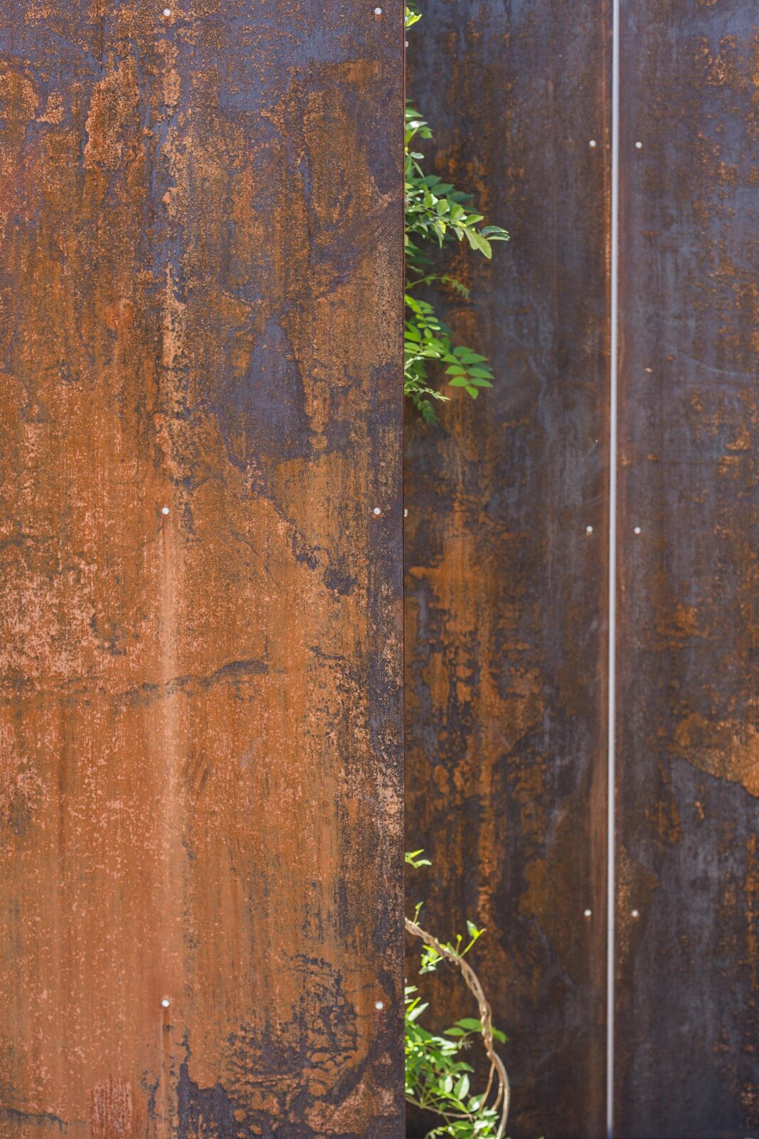 Photo 12 of 14 in alton cliff house by Megan Bowers - Dwell