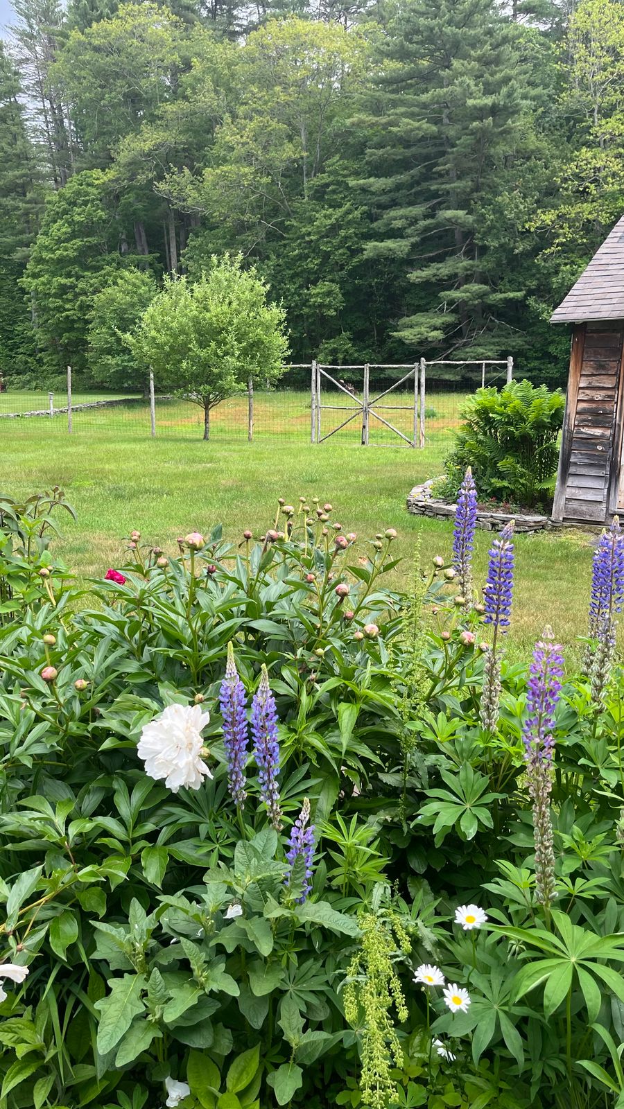 Photo 9 of 20 in THE TANNERY HOUSE by irene sarri - Dwell