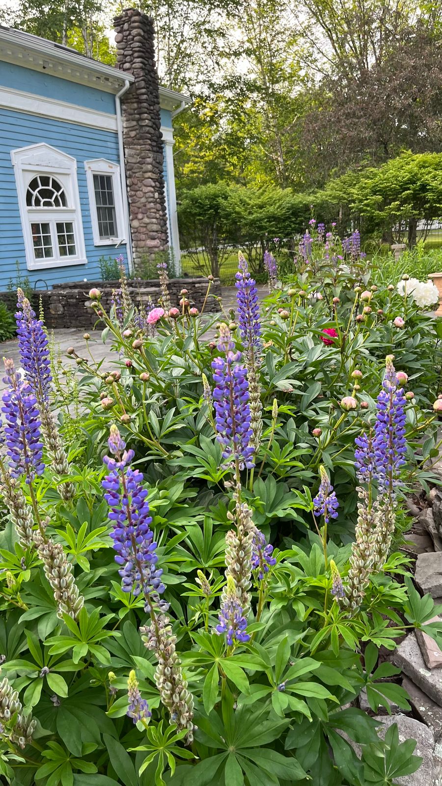 Photo 13 of 20 in THE TANNERY HOUSE by irene sarri - Dwell