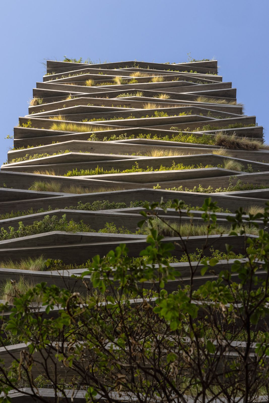 Photo 8 of 34 in Leopoldo 1201 Building Landscaping by Rodrigo Oliveira ...