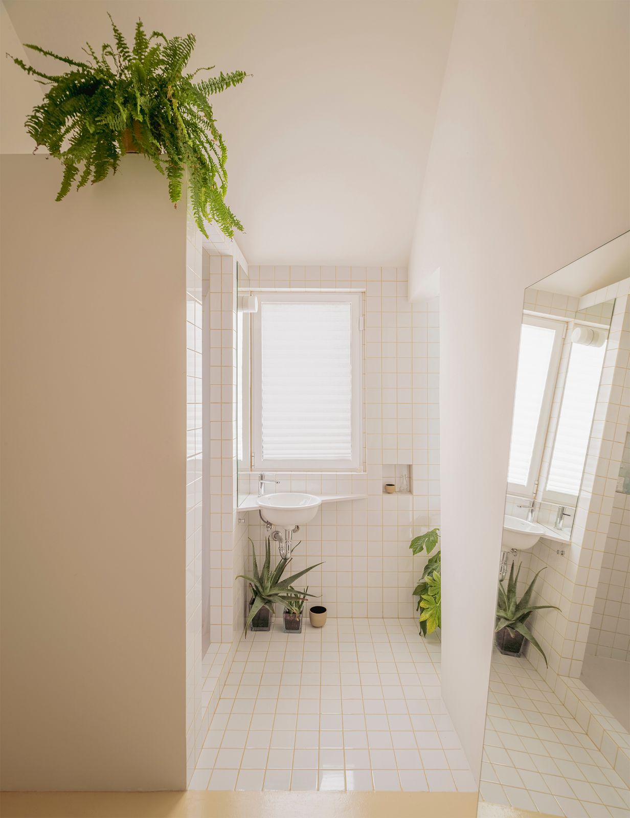 Photo 10 of 13 in C4 HOUSE _ HYPERFLEX by Francisco Pelaez - Dwell