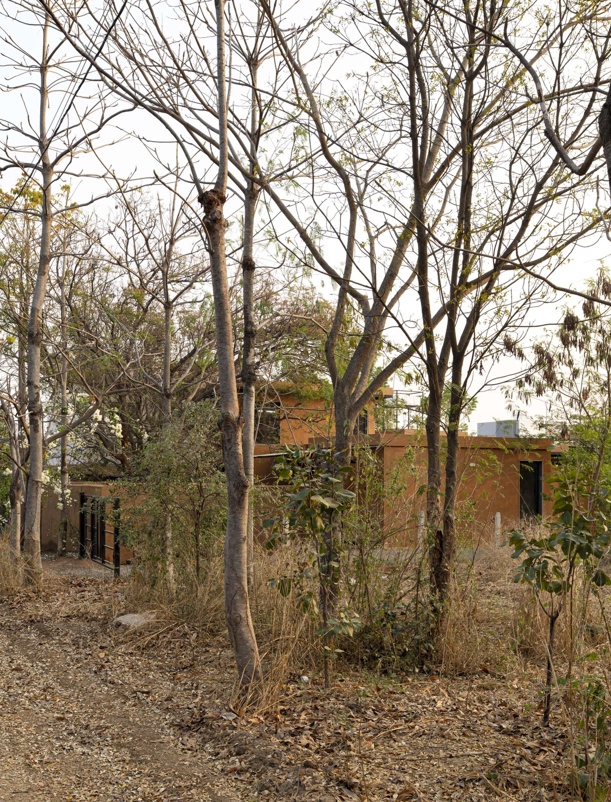 Photo 8 of 38 in Soil & Soul Studio by iki builds - Dwell