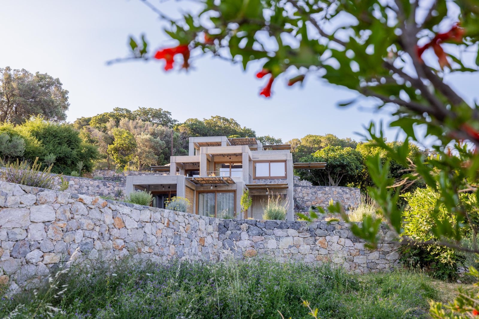 Photo 2 of 25 in Meraki Studios by Emma Lucek - Dwell