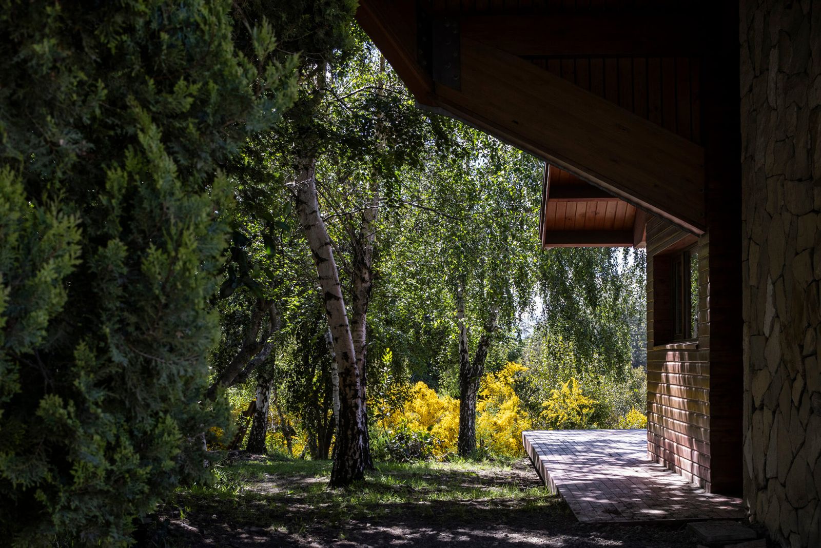 Photo 7 of 28 in Caviahue House by Juan Valeros - Dwell