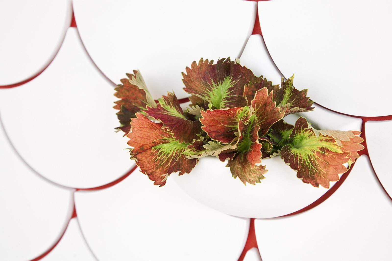 Green Pocket Tiles - Dwell