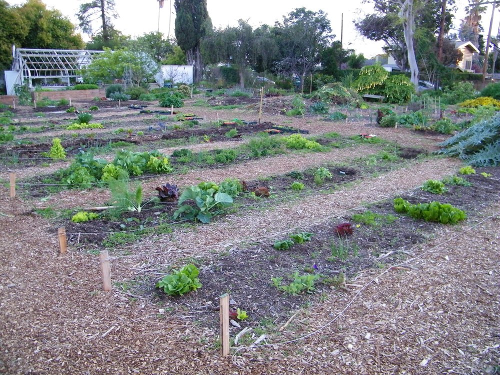 L.A.'s Learning Garden (2 Photos) - Dwell