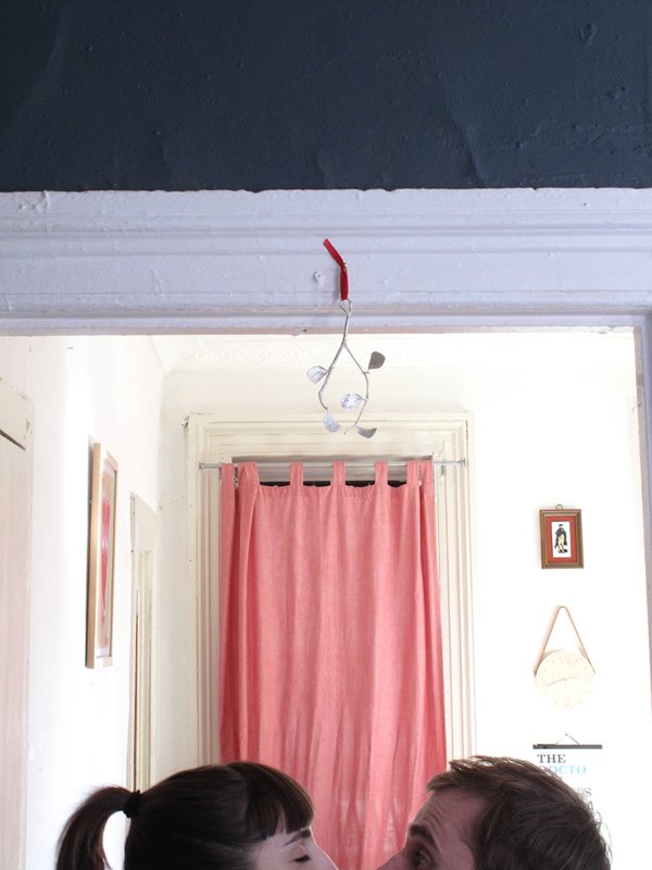 Photo 8 of 8 in Modern Mistletoe by Kiel Mead - Dwell