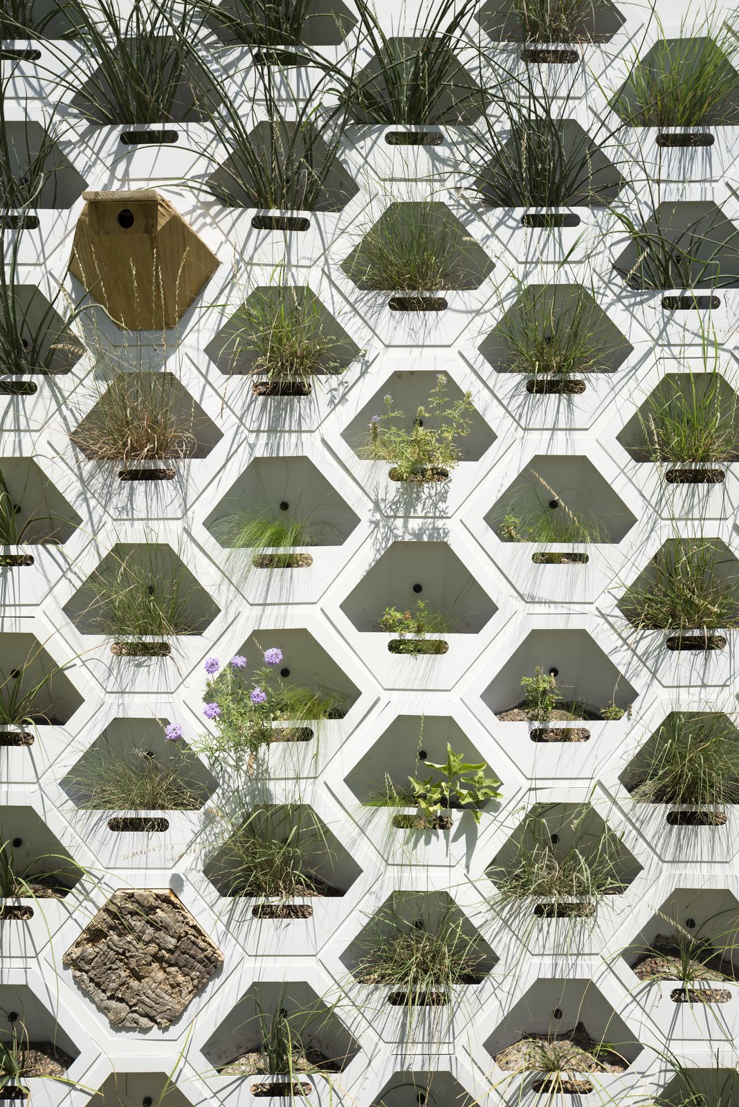 Photo 3 of 6 in This Prototype Modular System Could Bring Green Walls ...